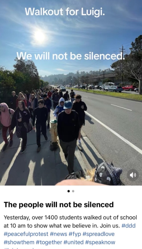 PHOTO High School Students Walking Out Of Class In Solidarity With ...