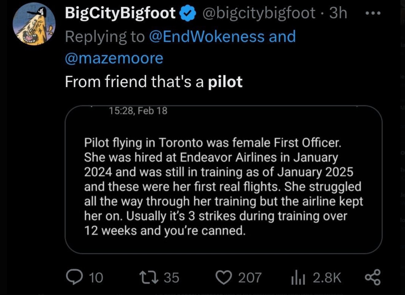 PHOTO Delta Pilot Kendal Swanson Was Allegedly Hired In January 2024 ...