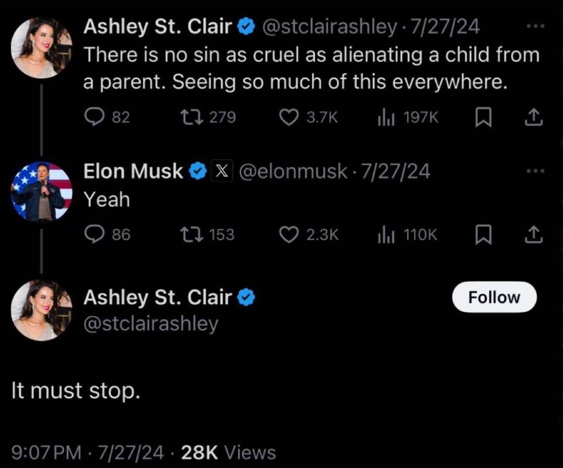 PHOTO Elon Musk Agreeing With Ashley St Clair That Alienating A Parent ...