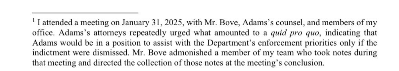 PHOTO Prosecutor Danielle Sassoon Left DOJ In Ashes