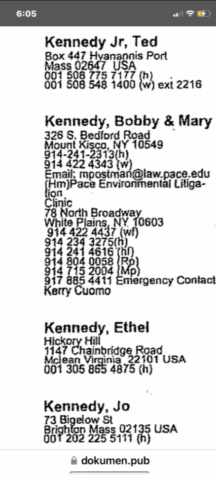 PHOTO Ivanka RFK Jr. Rupert Murdoch Alan Dershowitz Prince Andrew Les ...