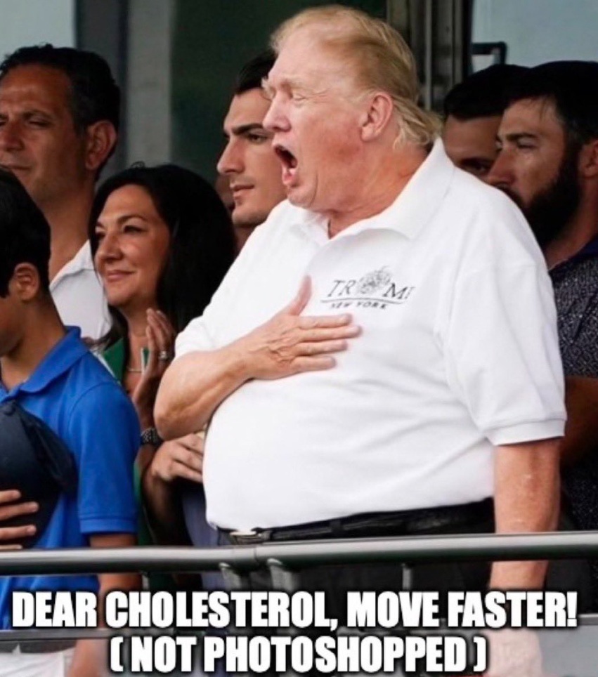 PHOTO Dear Cholesterol Move Faster Donald Trump Meme