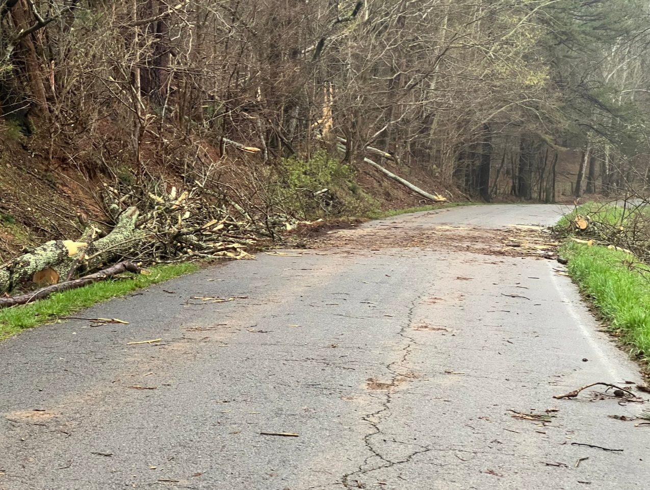 PHOTO Unbelievable Tornado Damage On Brown Mill Road In McEwen Tennessee
