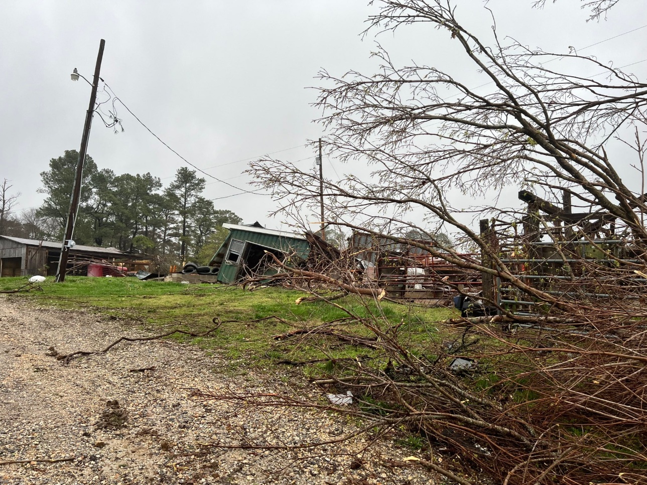 PHOTO Unbelievable Tornado Damage On Brown Mill Road In McEwen Tennessee
