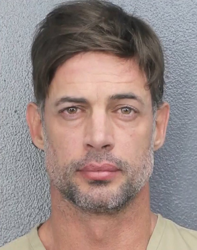 PHOTO William Levy Had A Lot Of Facial Hair In His Mugshot From Not ...