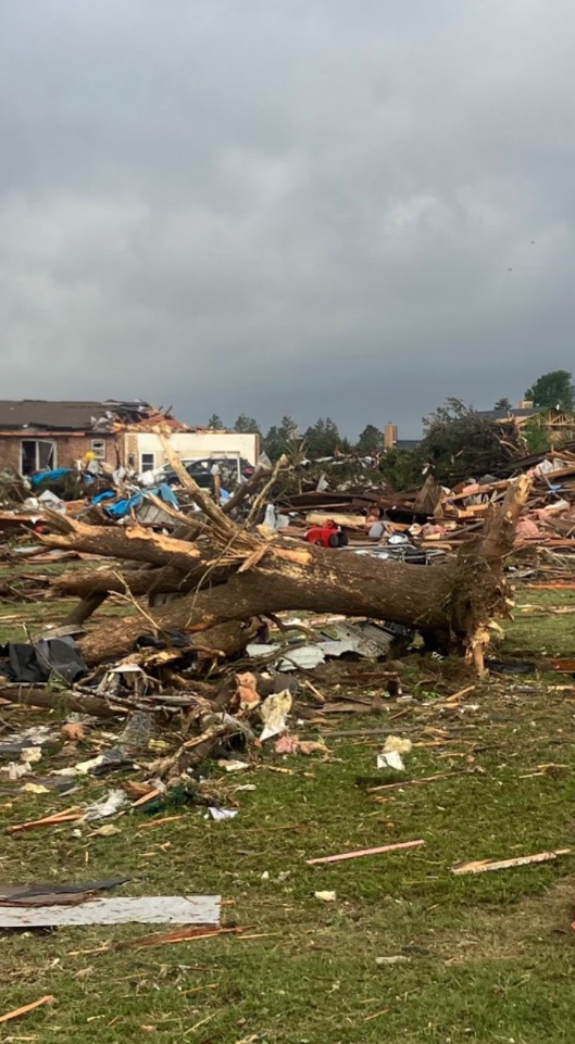 PHOTO Insane Picture Of Tree Uprooted Debarked And Stripped Of Its ...