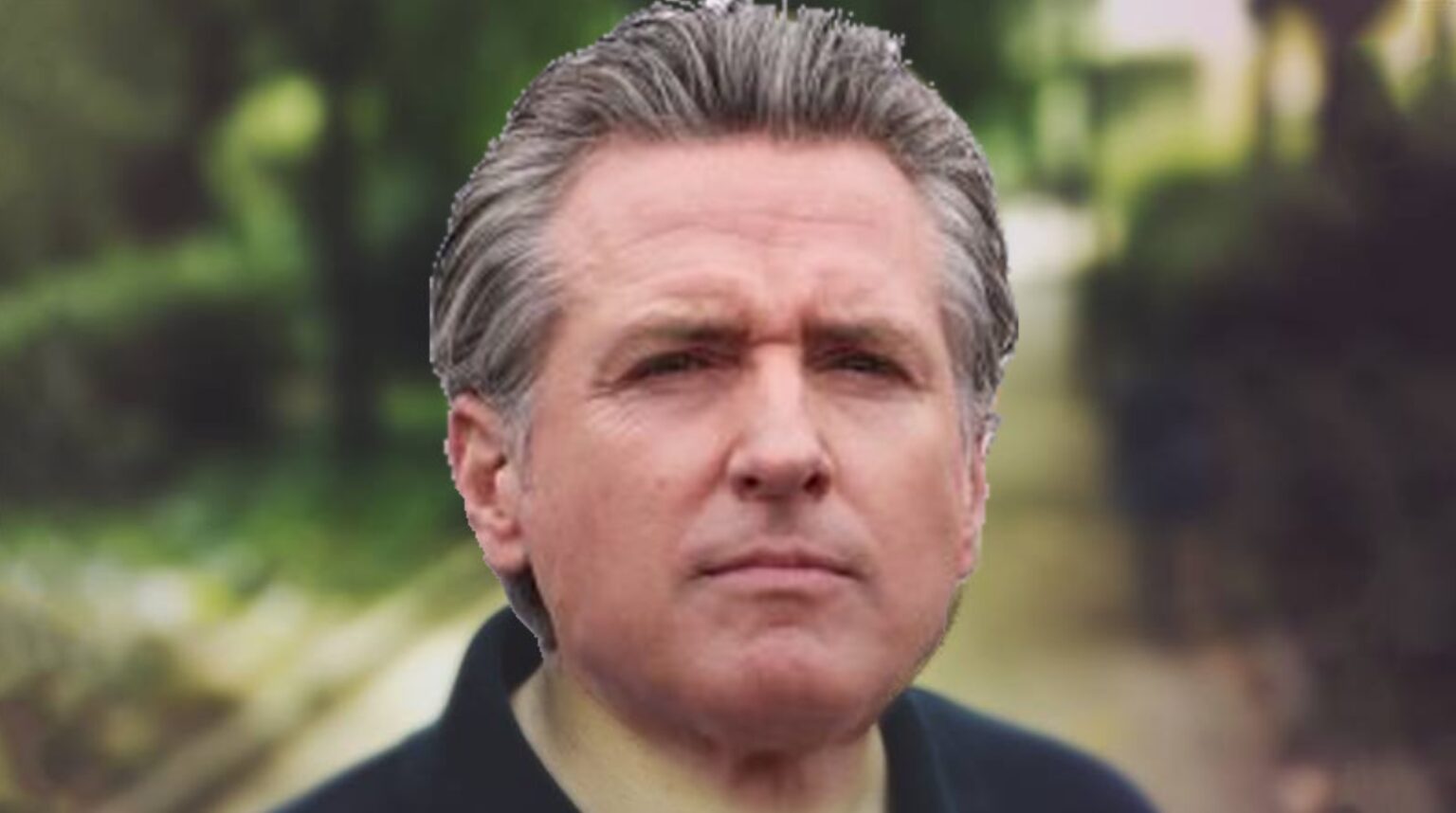 PHOTO Gavin Newsom If He Had No Neck Meme