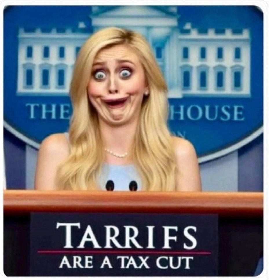 PHOTO Karoline Leavitt Making A Clown Face While Saying Tariffs Are A ...