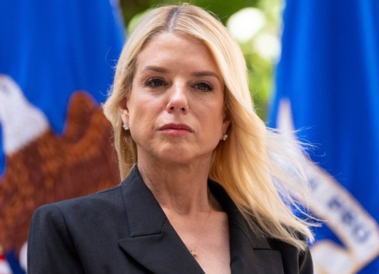 PHOTO Pam Bondi Has A Wrinkled Old Face And Neck Despite Perfect Blonde ...