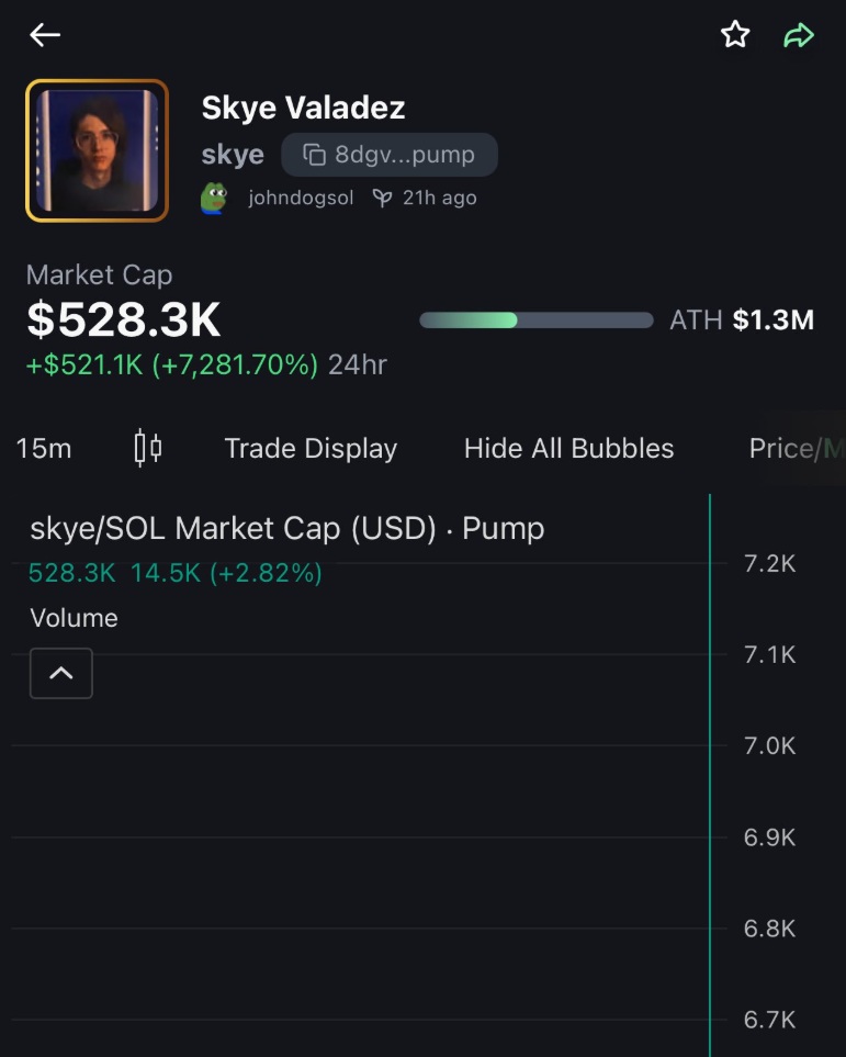 PHOTO Skye Valadez Coin Made 21 Hours Ago Is Worth Has Market Cap Of $528K